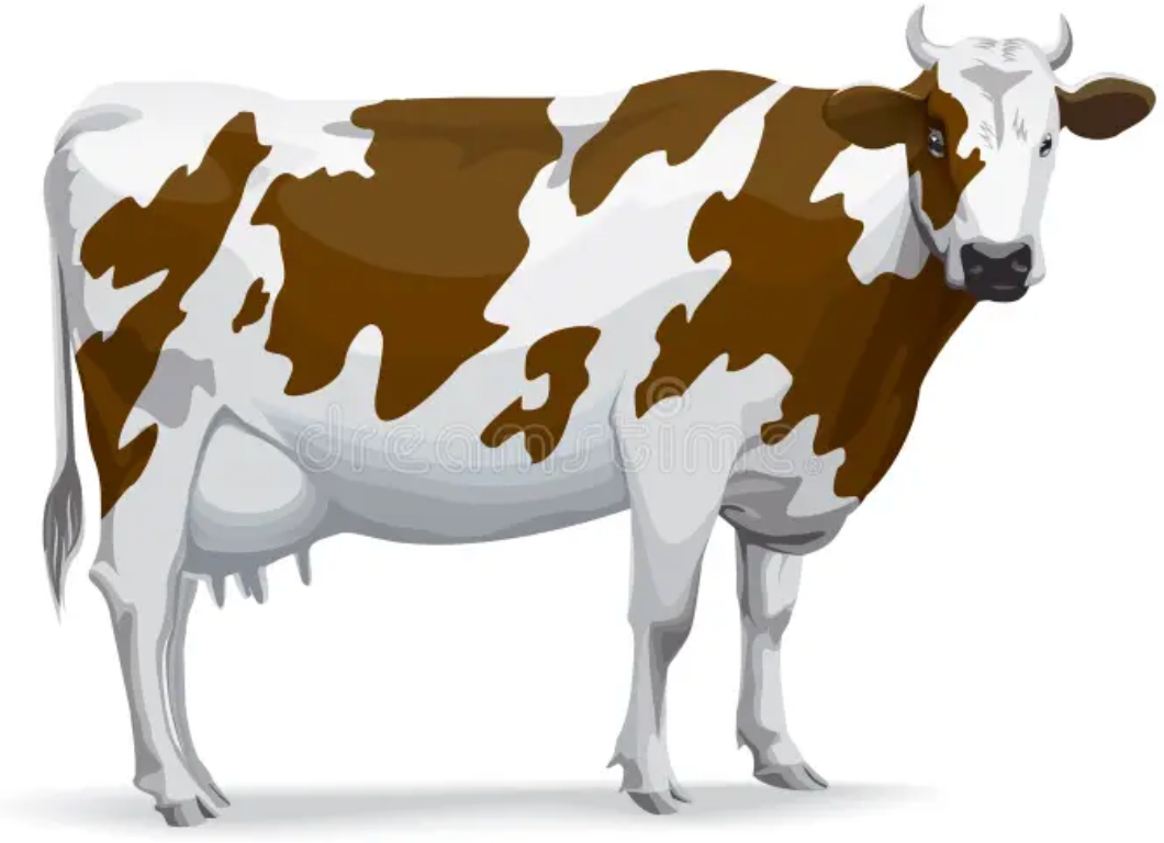 Livestock Cameras & Monitoring Systems – CTS Systems